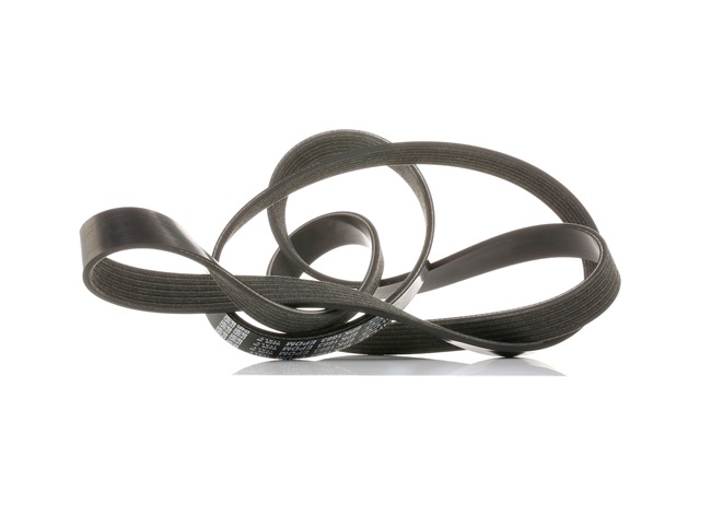 Acquista CINGHIE, CATENE, RULLI per BMW X1 (F48) a prezzi bassi ...