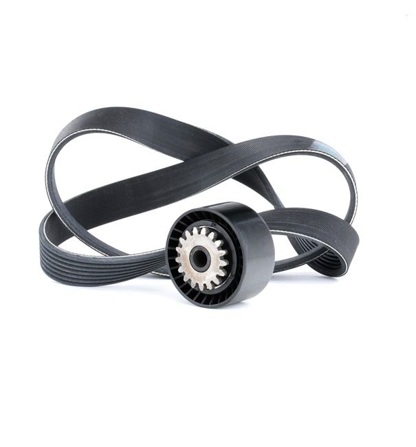 KEILRIPPENRIEMENSATZ » RENAULT Modus / Grand Modus F, JP (12.2004 ...