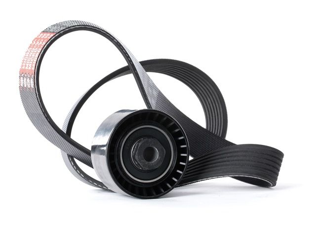 KEILRIPPENRIEMENSATZ » RENAULT Modus / Grand Modus F, JP (12.2004 ...