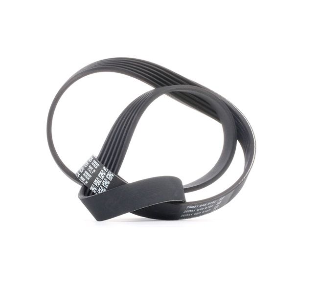 KEILRIPPENRIEMEN » AUDI TT Roadster 8N9 (07.2003 - 06.2006) 3.2 VR6 ...