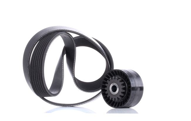 KEILRIPPENRIEMENSATZ » RENAULT Modus / Grand Modus F, JP (12.2004 ...