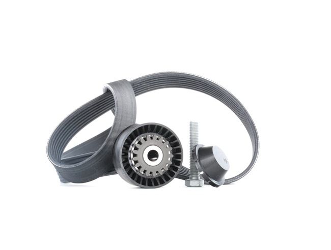 KEILRIPPENRIEMENSATZ » RENAULT Modus / Grand Modus F, JP (12.2004 ...